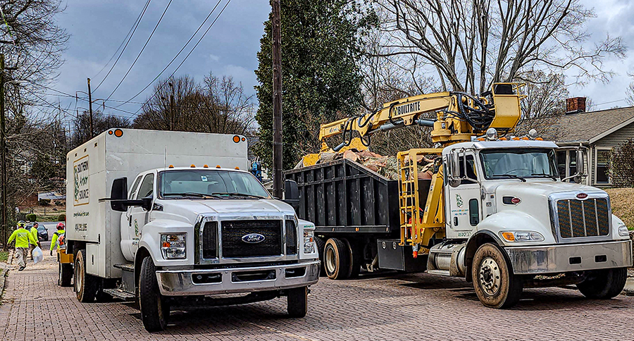Grapple Hauling Services - Southern Arbor Source Tree
