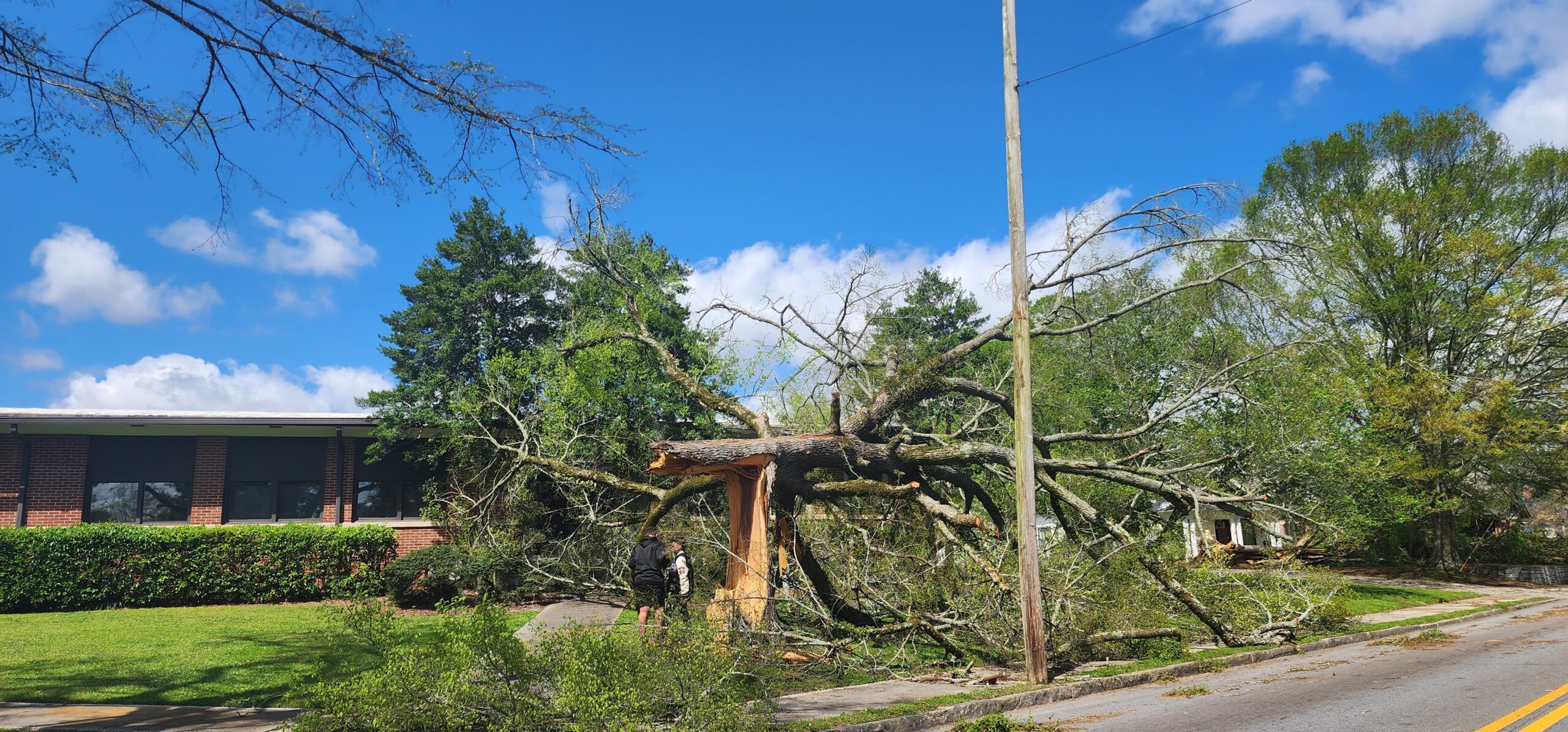 SAS Trees - Storm Damage Tree Service in Conyers, Georgia - Southern ...